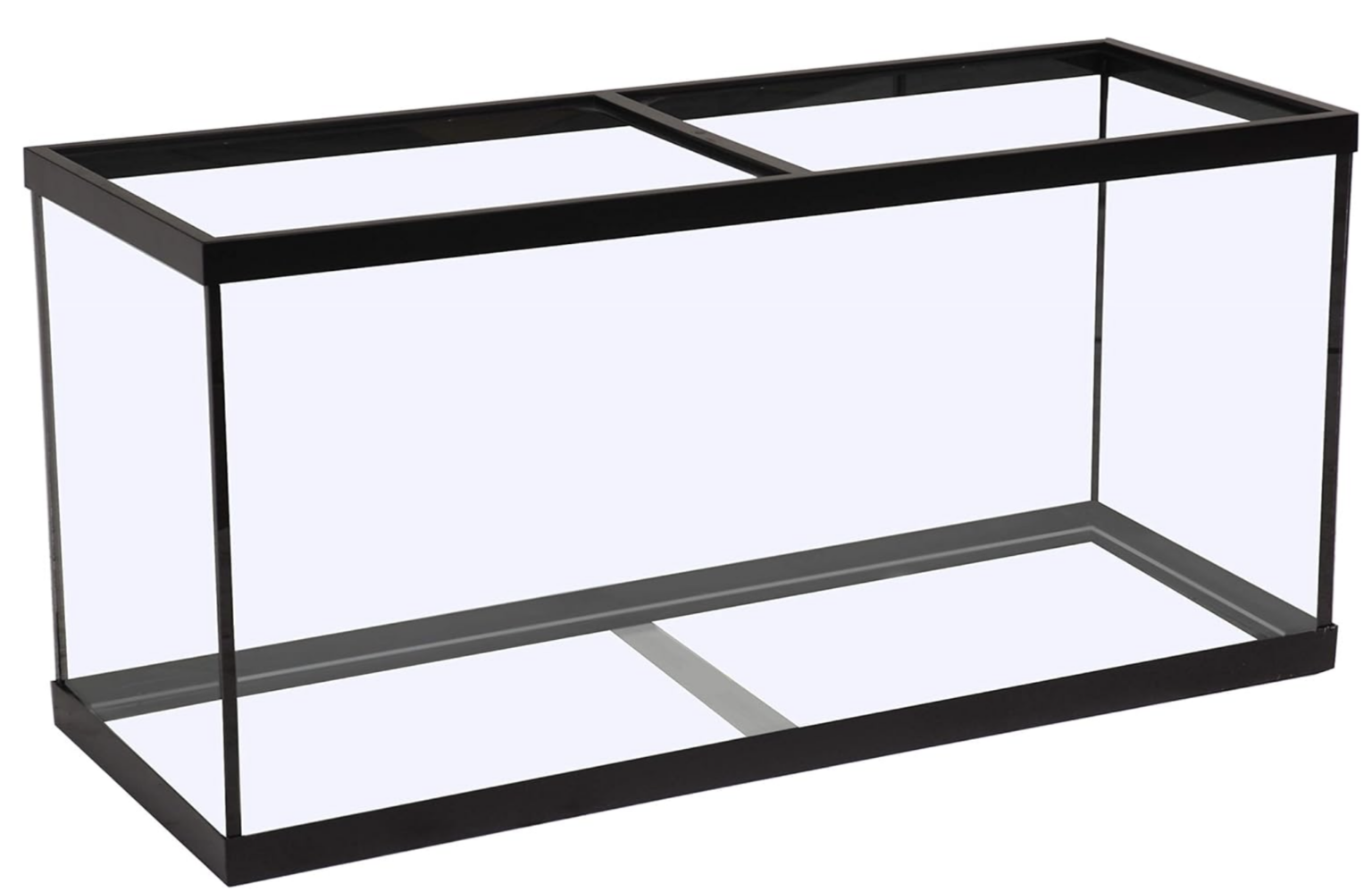 The Best Hamster Tank - A Complete Guide