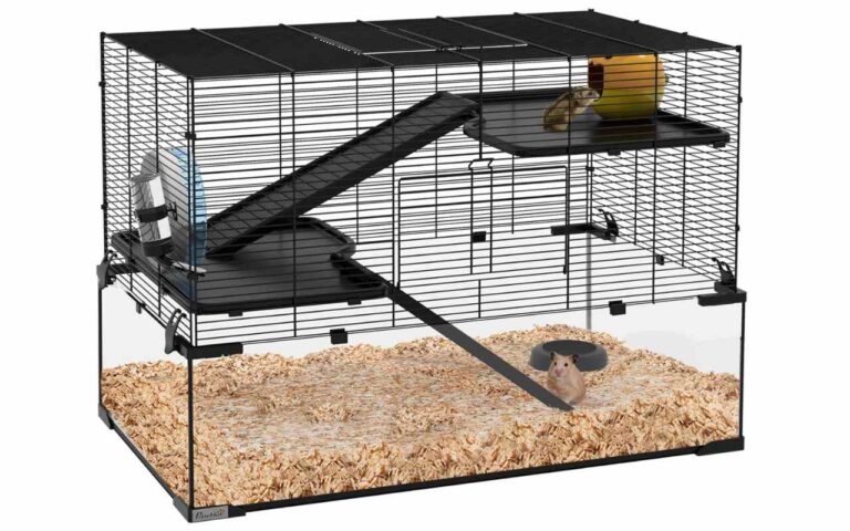 The Best Hamster Tank - A Complete Guide